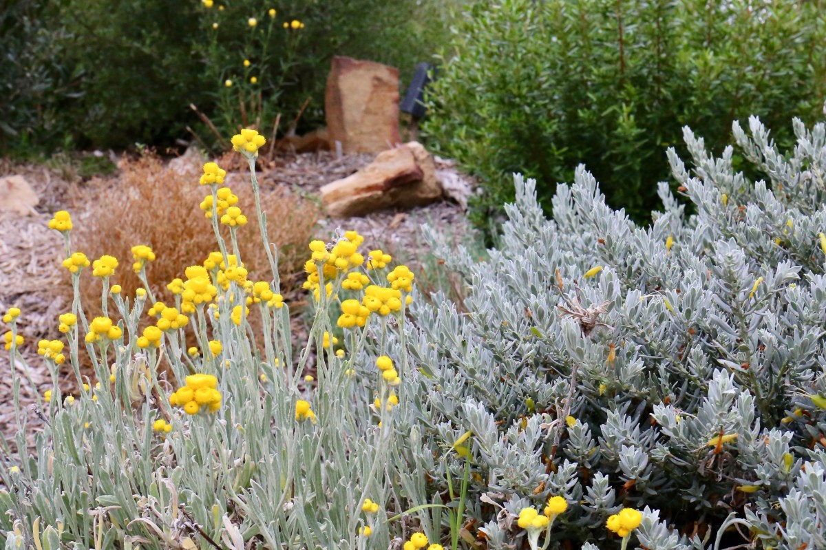 3 years & thriving – Emerging landscapes